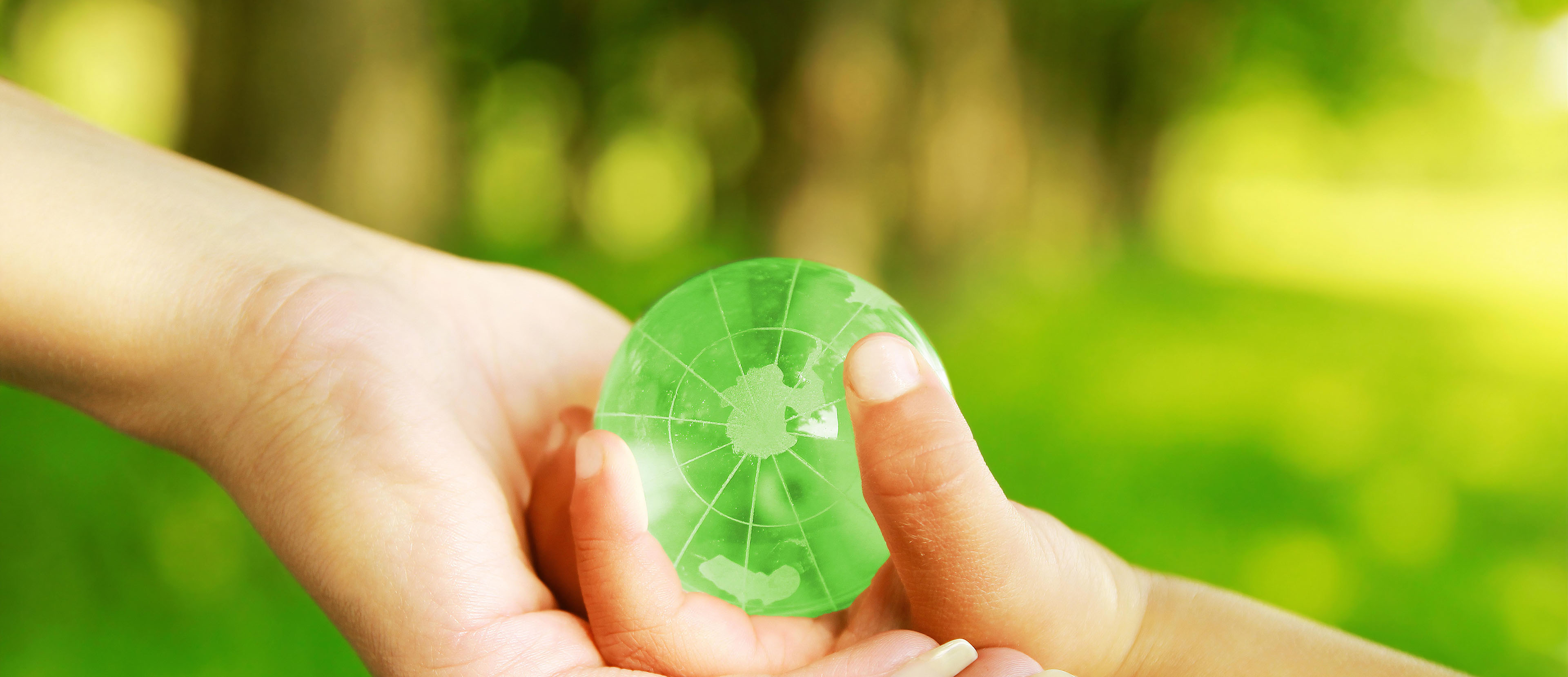 Promidea - Our Approach